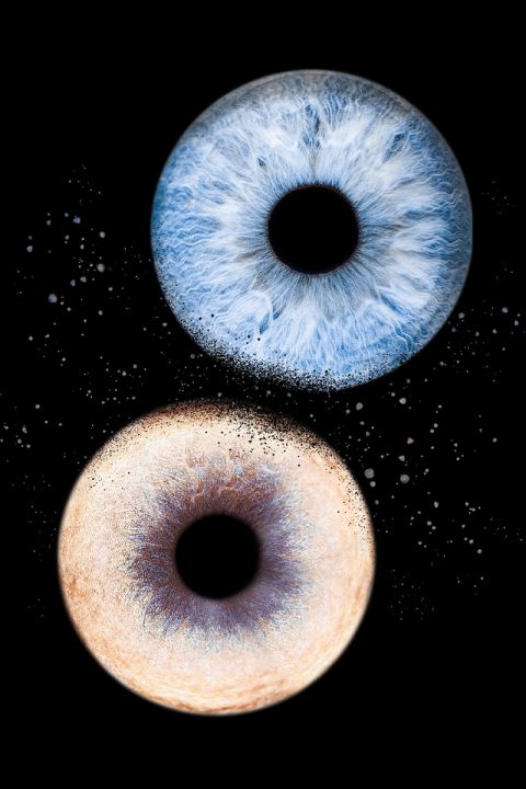 Photo Iris | Picture it photography